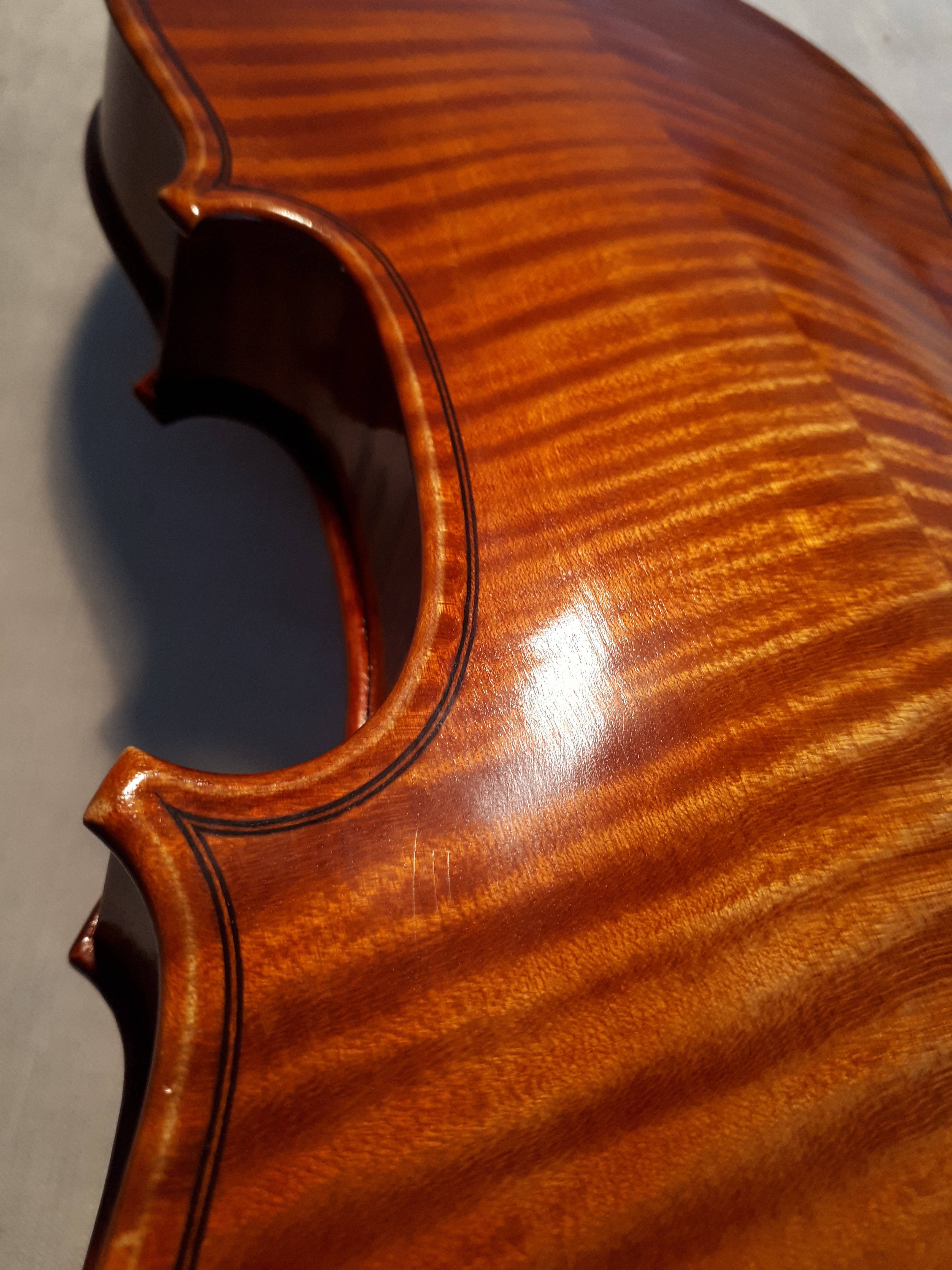 Violin - C. W. Söderberg 1905 – Violinateljé